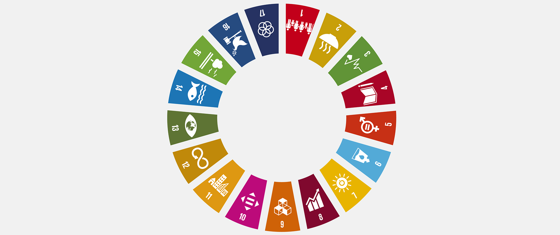 UN Sustainable Development Goals |BIRN